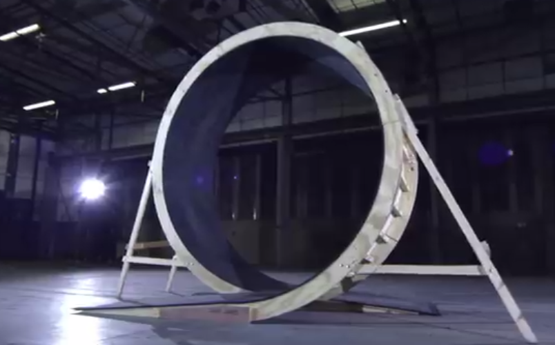 Video: The Human Loop | ActionHub Video: The Human Loop | ActionHub